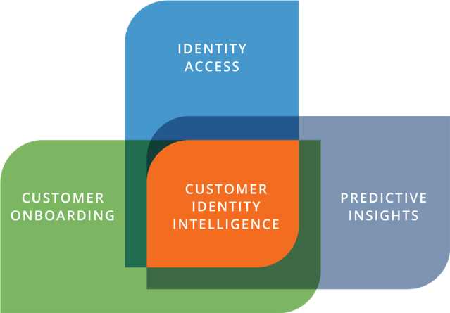 Remember This Term: Identity Intelligence (Here's Why.)